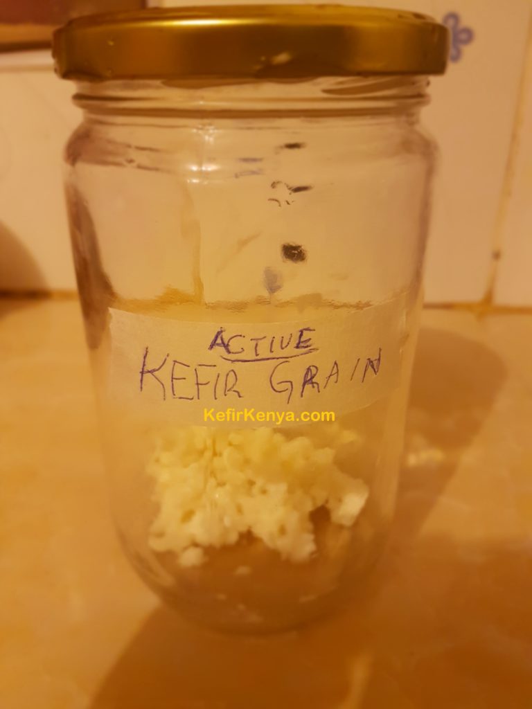 Method: How to Make Potent Kefir Milk at Home with Kefir Grains in Kenya