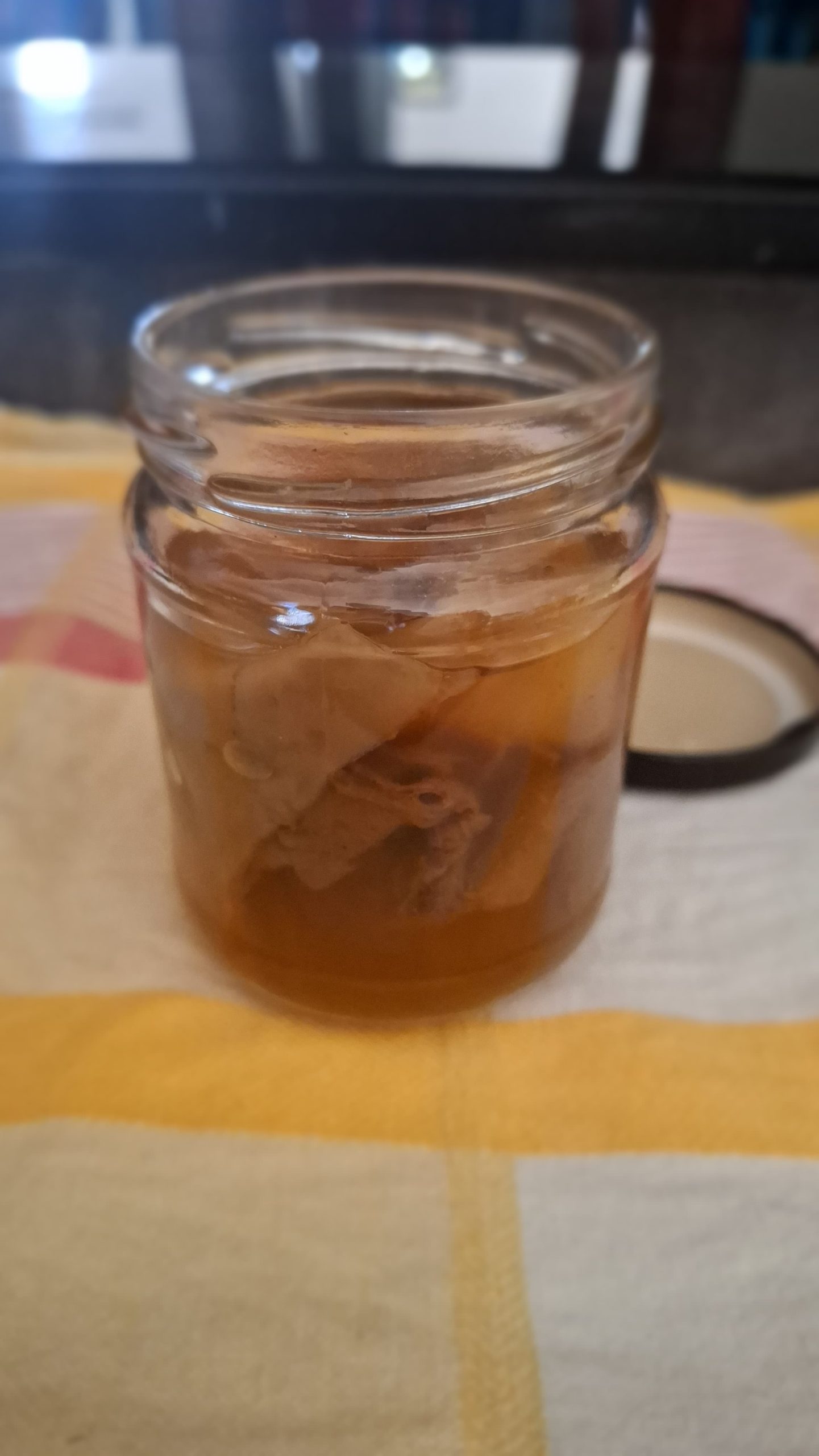 Kombucha SCOBY in Kenya: Price, Benefits, and Brewing Guide